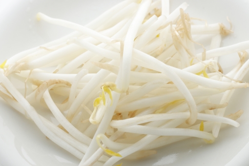 もやしの写真素材｜写真素材なら「写真AC」無料（フリー）ダウンロードOK